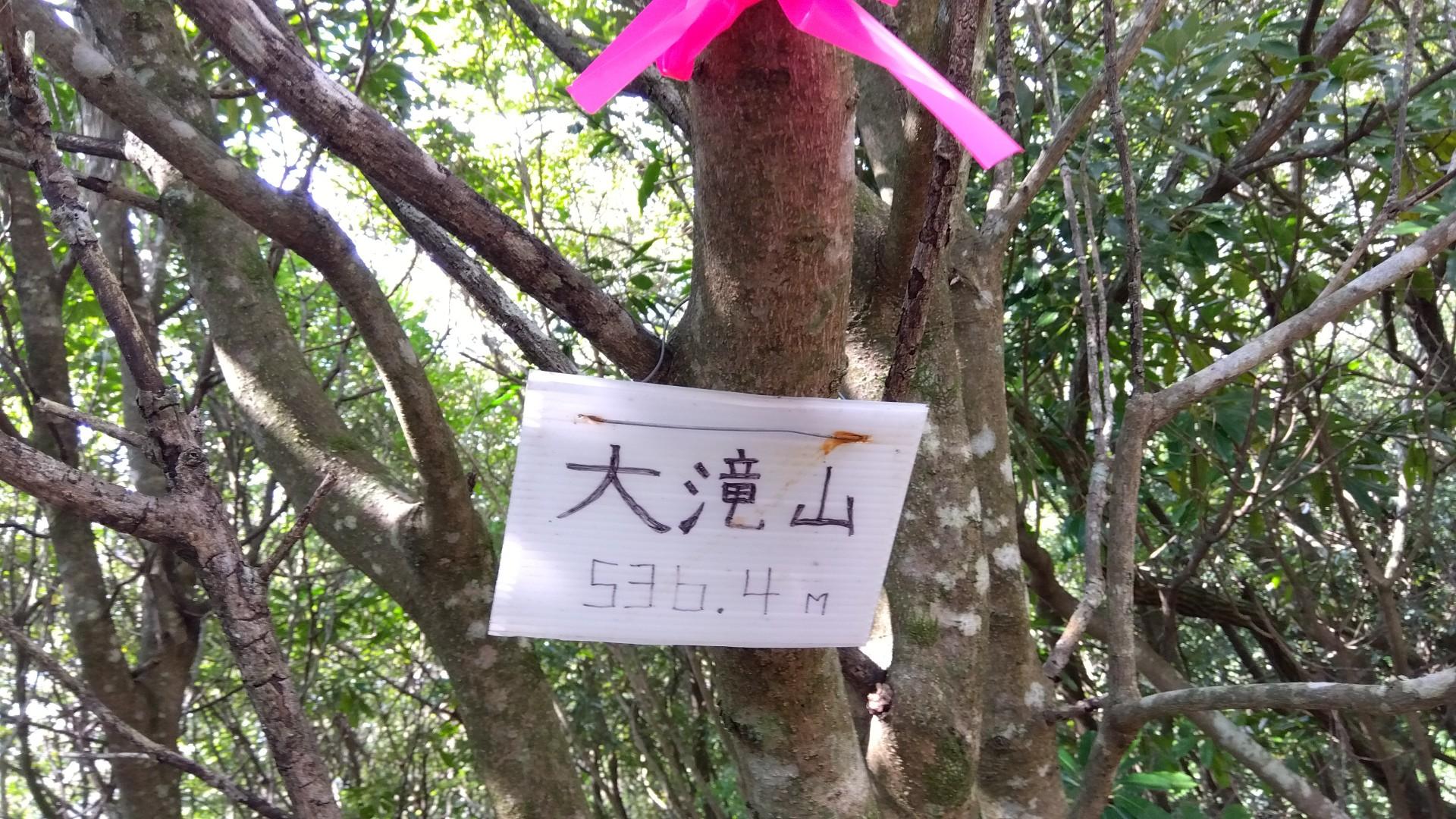 京ヶ嶽・大滝・迫山 / senbu2(センブツ)さんの華山の活動データ | YAMAP / ヤマップ