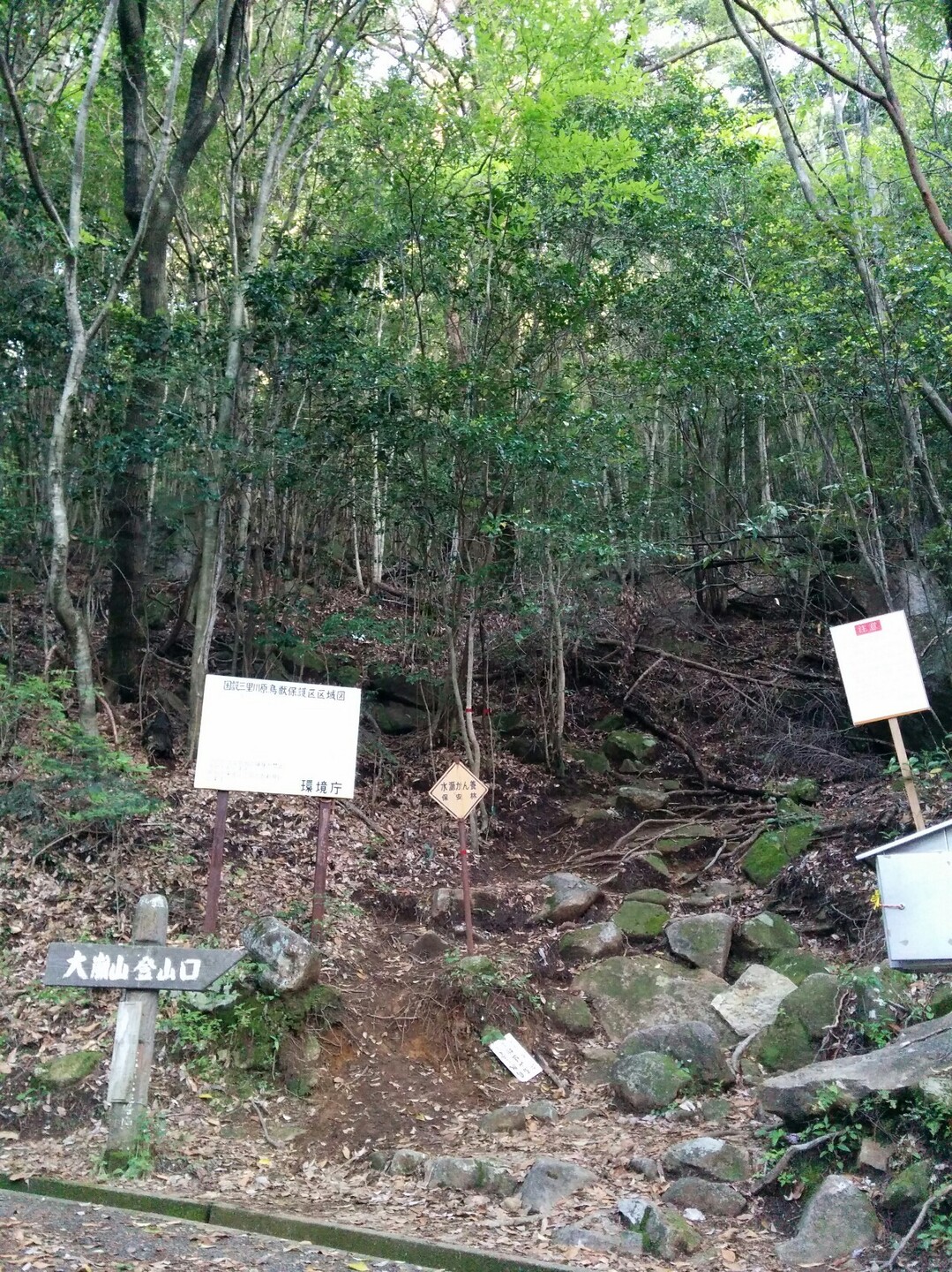 大崩山パノラマコース / まさみさんの祖母山の活動データ | YAMAP / ヤマップ