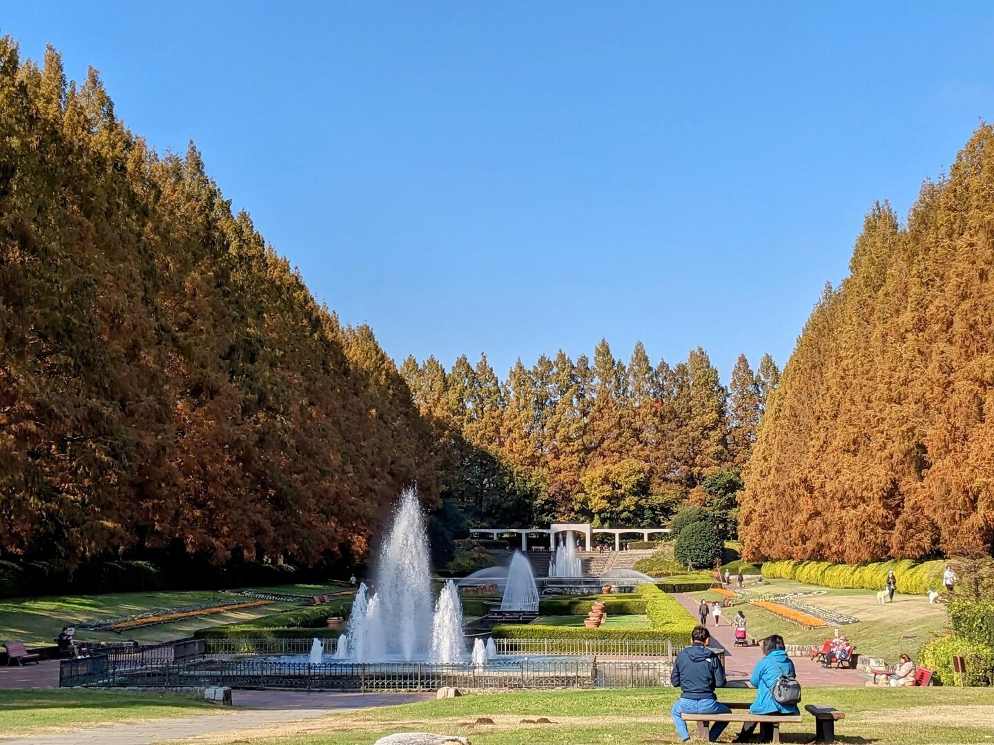 2023.11.27 kei 散歩🚶 ... / Kei さんのモーメント | YAMAP / ヤマップ