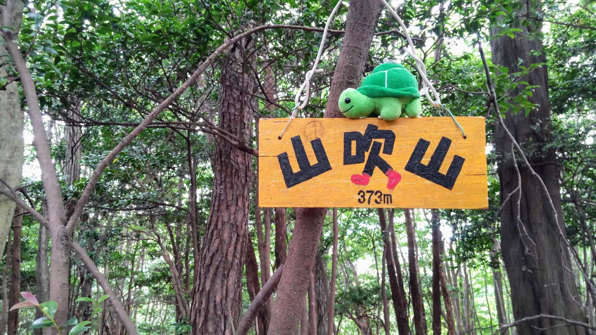 有王山・山吹山・P393ピーク / ショコラJr.さんの三上山・大焼山の活動データ | YAMAP / ヤマップ