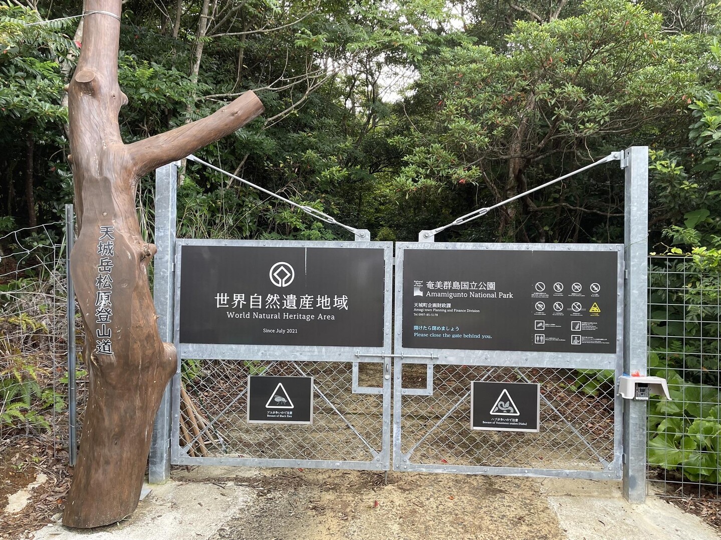 世界自然遺産ウォーキング / Fluffy Ranさんのウォーキングの活動データ | YAMAP / ヤマップ