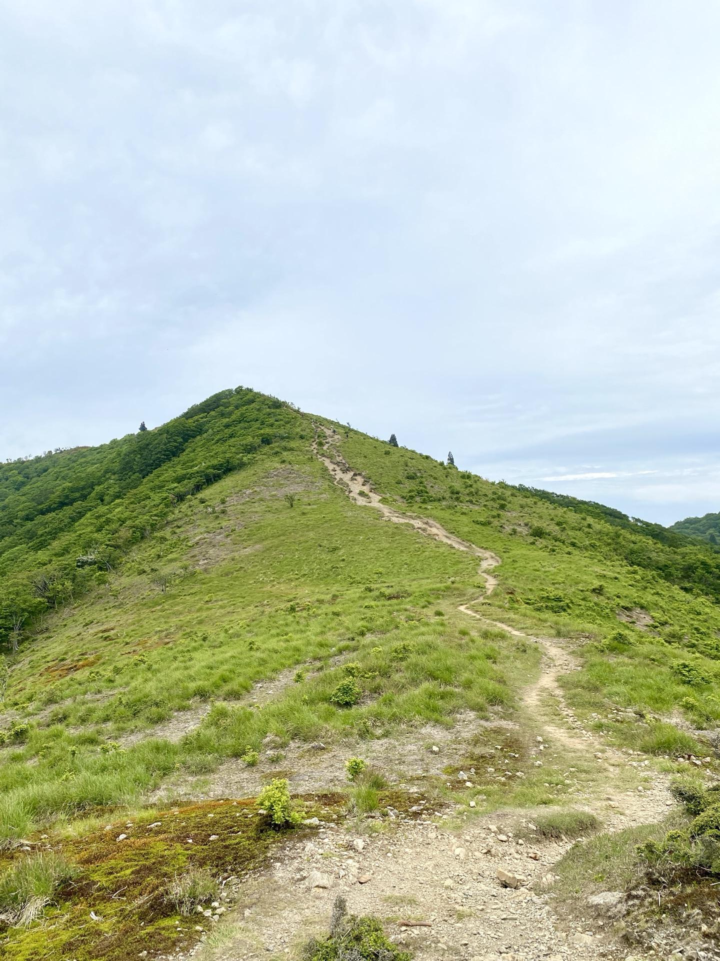 武奈ヶ岳 周回縦走（御殿山〜武奈ヶ岳〜コヤマノ岳〜奥ノ深谷） / mount-acousticsさんの比良山地・武奈ヶ岳・釈迦岳の活動データ | YAMAP / ヤマップ