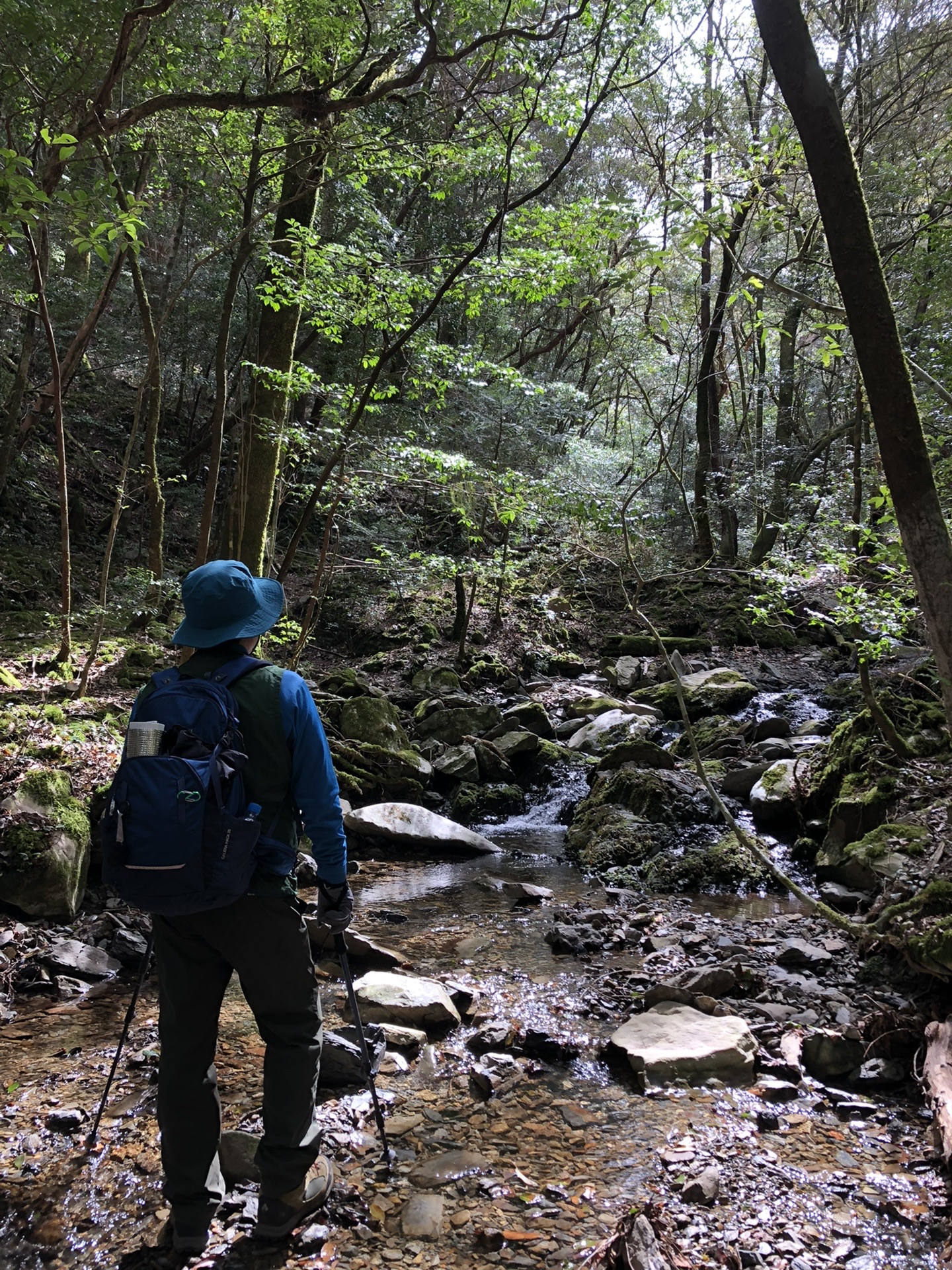 今ノ山 / ta3netさんの四国遍路その10の活動データ | YAMAP / ヤマップ