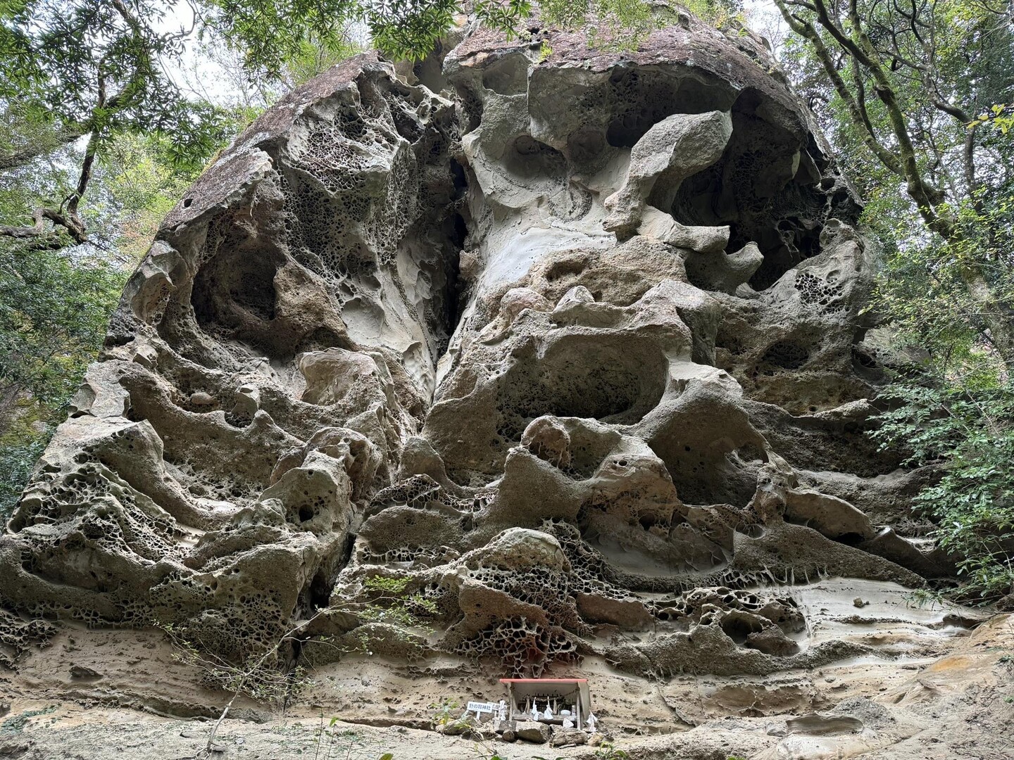 YAMAP宮崎イベント①双石山(ぼろいしやま) / Kannaさんの双石山・花切山・岩壺山の活動データ | YAMAP / ヤマップ