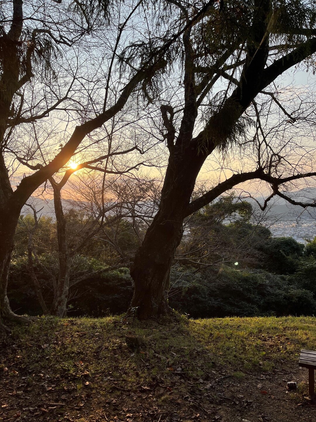谷津山 / kenkenさんの谷津山の活動データ | YAMAP / ヤマップ