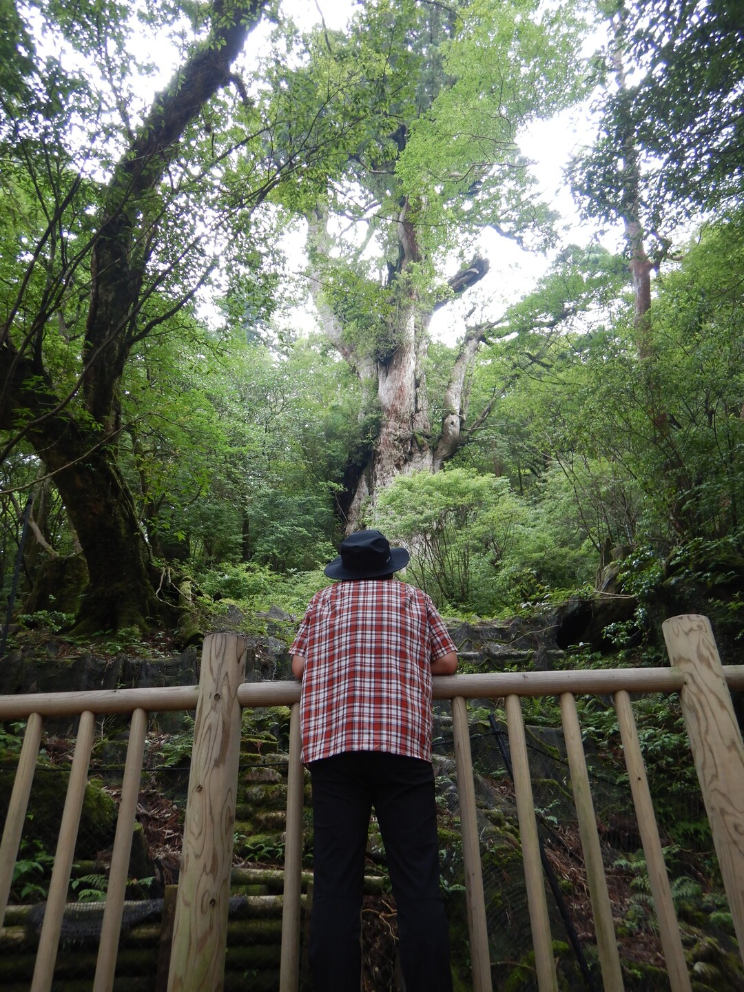 koya_kimuraのページ | YAMAP / ヤマップ