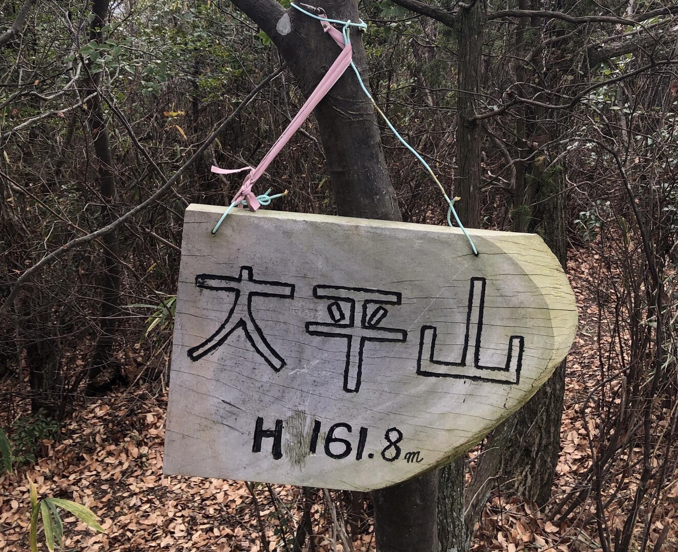 倉敷・大平山 / GOSAYさんの大平山の活動データ | YAMAP / ヤマップ