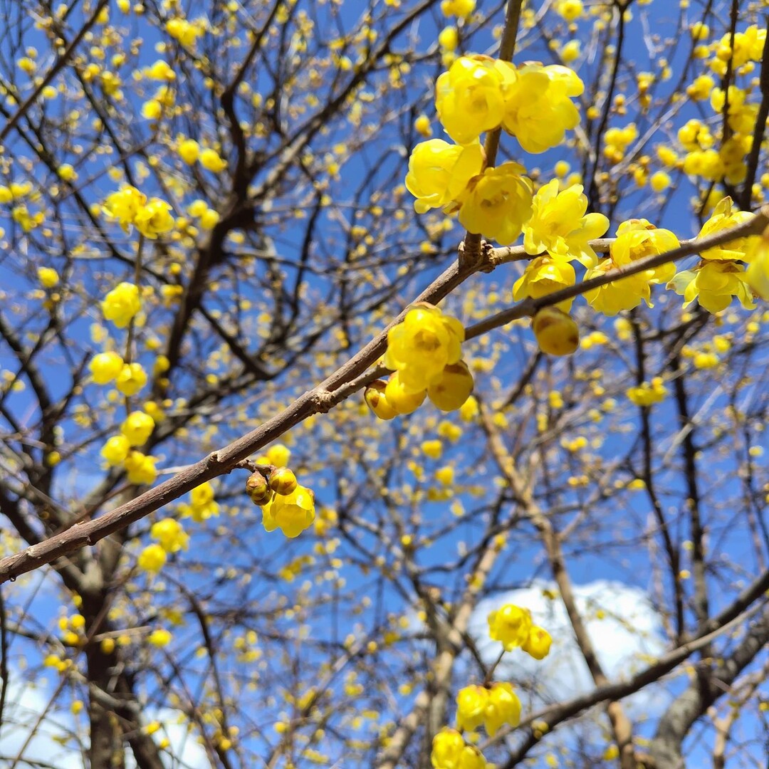 2024.02.20(火) 02:36 / たこやきさんのモーメント | YAMAP / ヤマップ