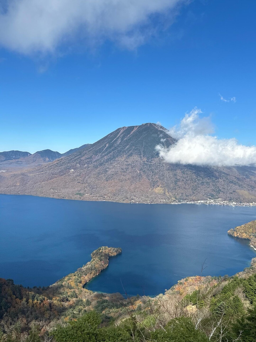 半月山・中禅寺山 / mizuさんの社山・半月山の活動データ | YAMAP / ヤマップ