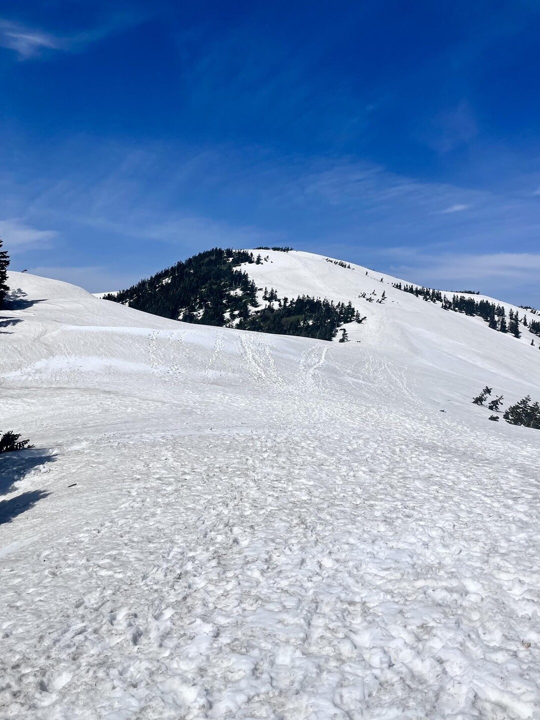 会津駒ヶ岳 / akioさんの会津駒ヶ岳の活動データ | YAMAP / ヤマップ