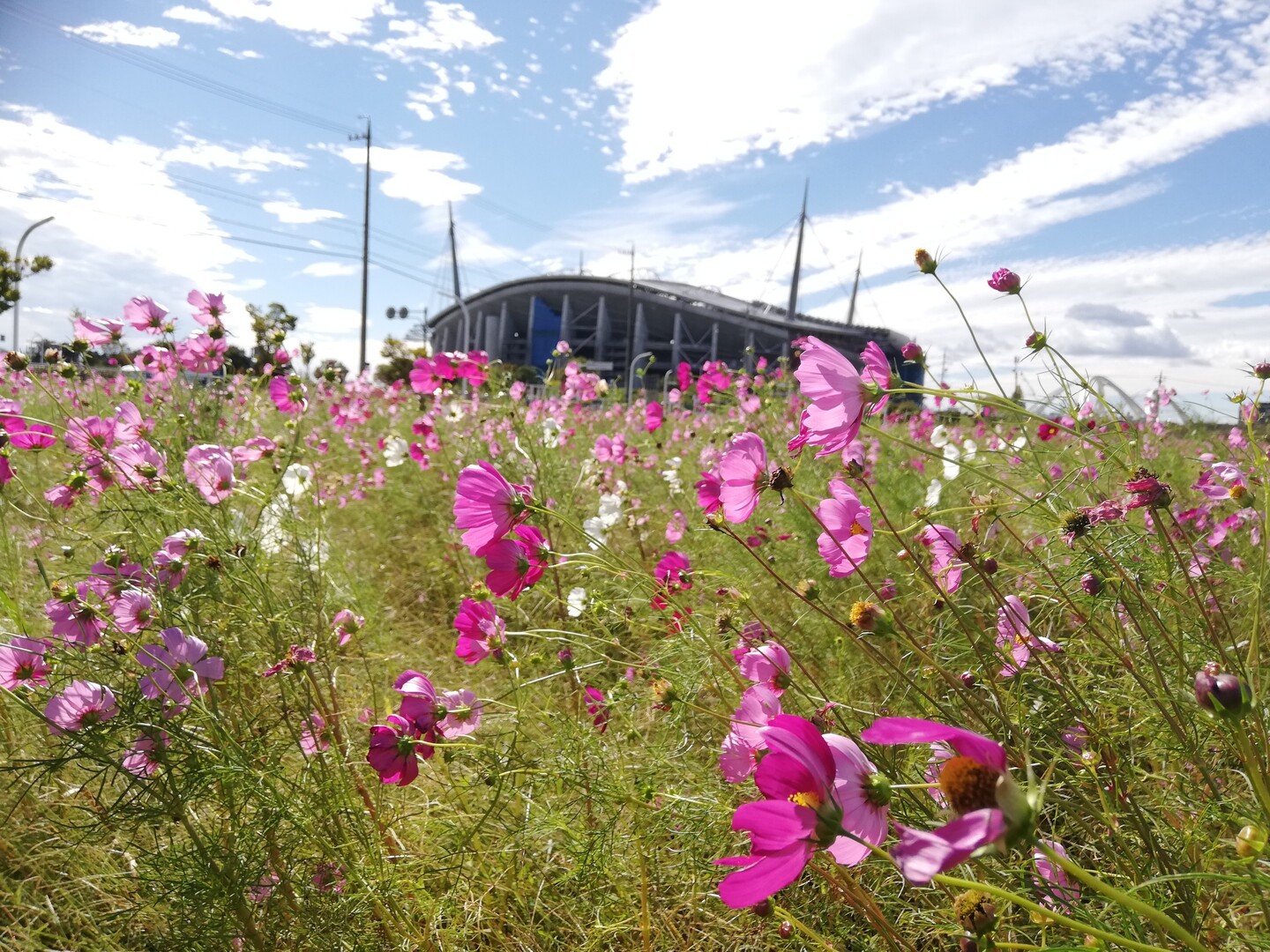 run🏃💨豊スタ-高岡運公 2021-10-17 / GNMTさんの登山の活動データ | YAMAP / ヤマップ