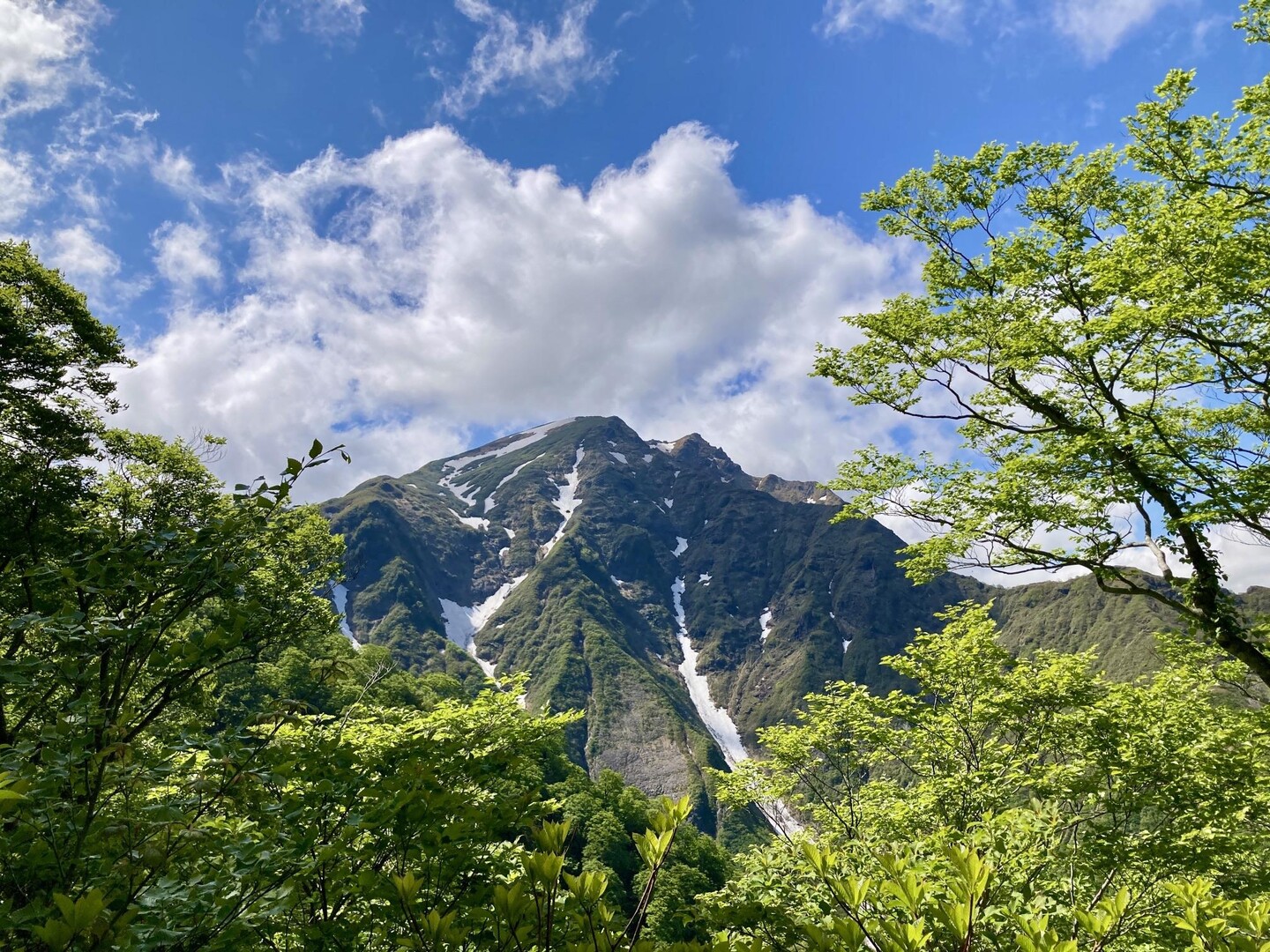 '24.5.25 谷川岳 / SSさんの谷川岳・七ツ小屋山・大源太山の活動データ | YAMAP / ヤマップ