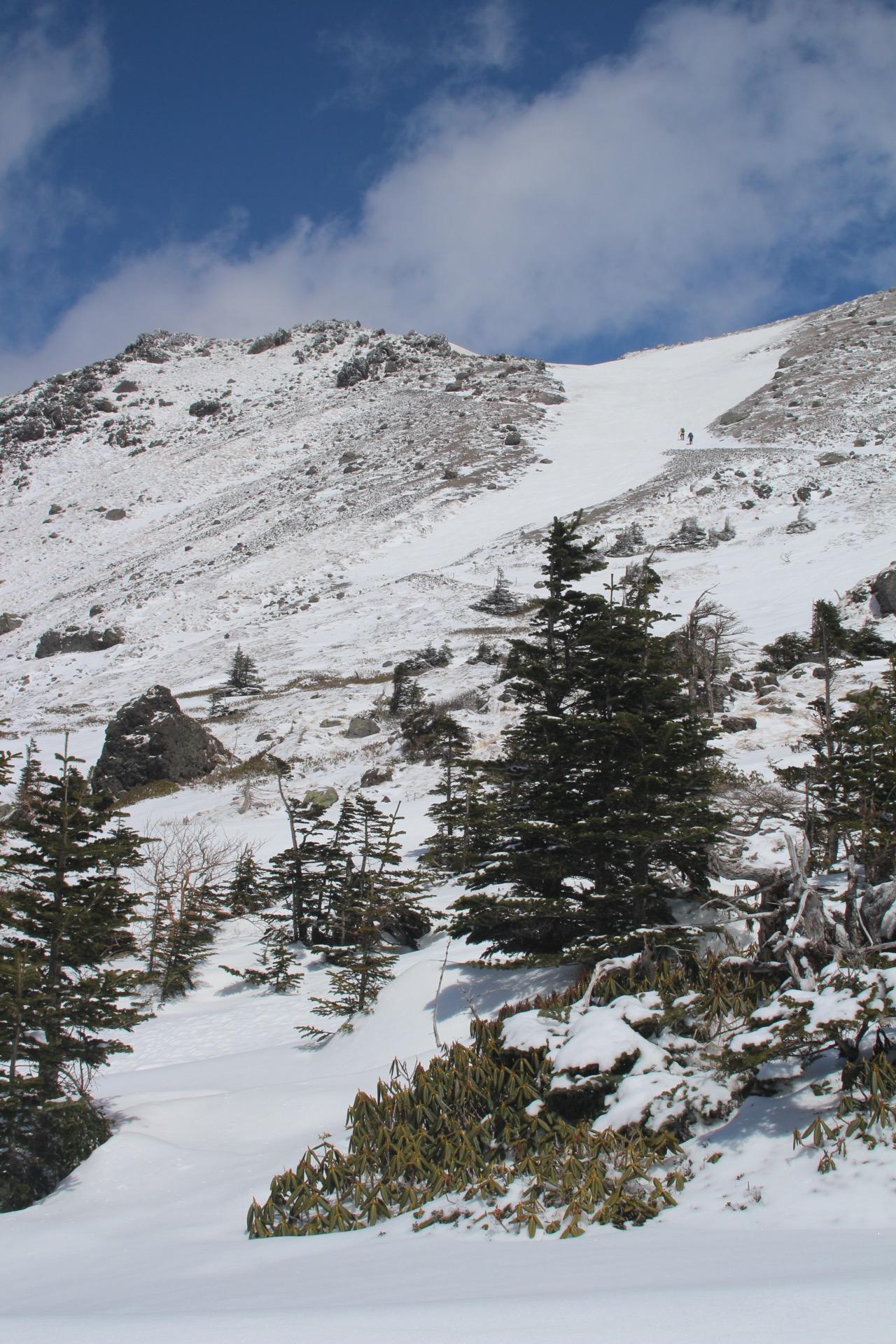 日光白根山 / Tetsuさんの日光白根山・五色山・錫ヶ岳の活動データ | YAMAP / ヤマップ
