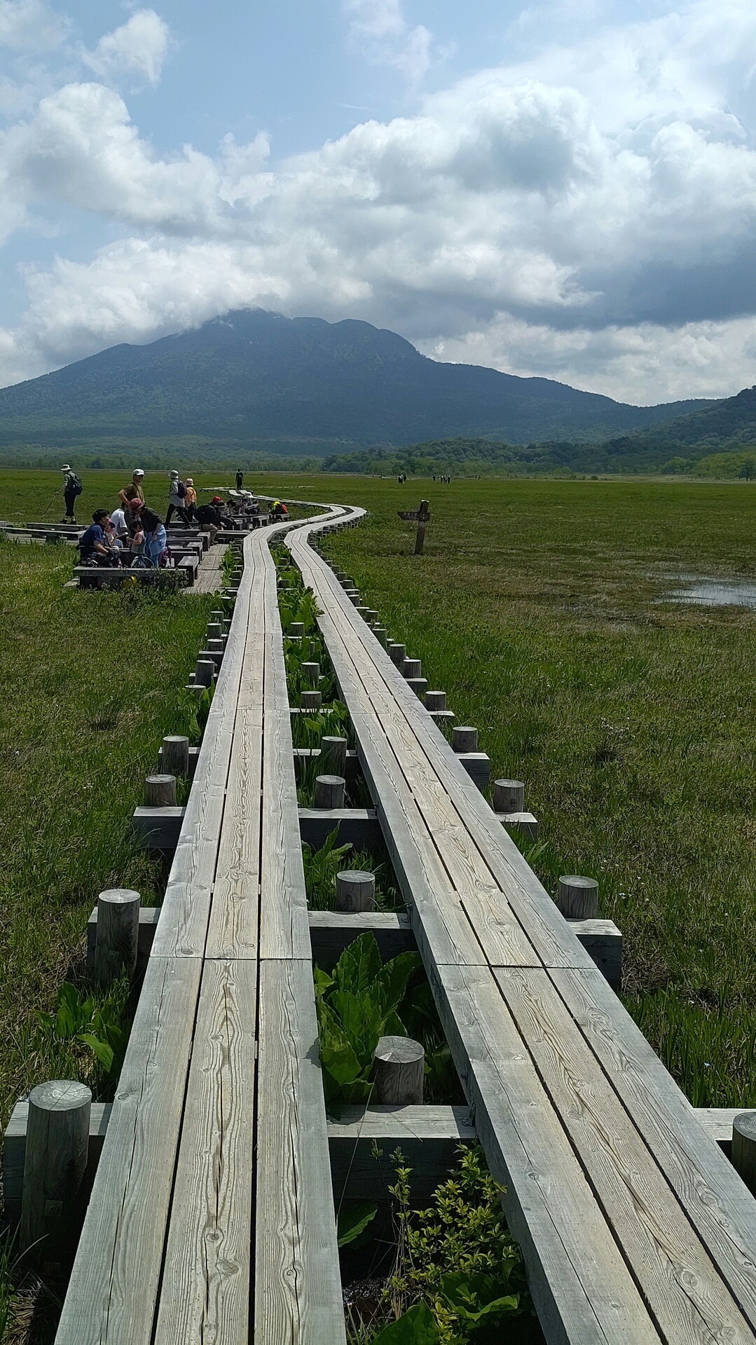 尾瀬・2日目-2022-06-19日 / 尾瀬・燧ヶ岳の写真18枚目 / 牛首分岐 | YAMAP / ヤマップ