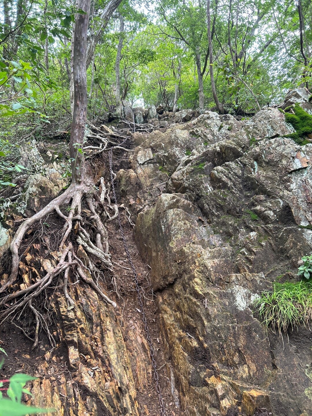 三登谷山・雨巻山・高峯・仏頂山・御嶽山・足尾山 / tottuanさんの雨巻山・足尾山・三登谷山・高舘山の活動データ | YAMAP / ヤマップ