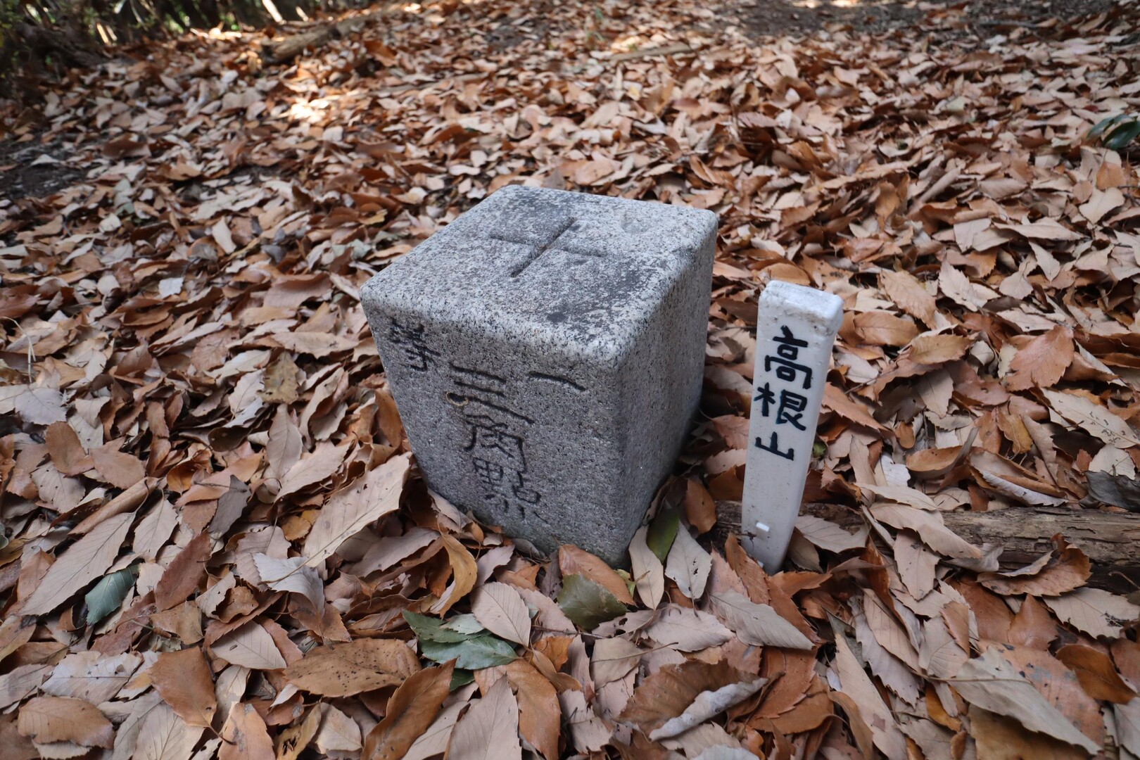 モールで買い物ついでに高根山 / FD2R2000さんの名古屋市の活動データ | YAMAP / ヤマップ