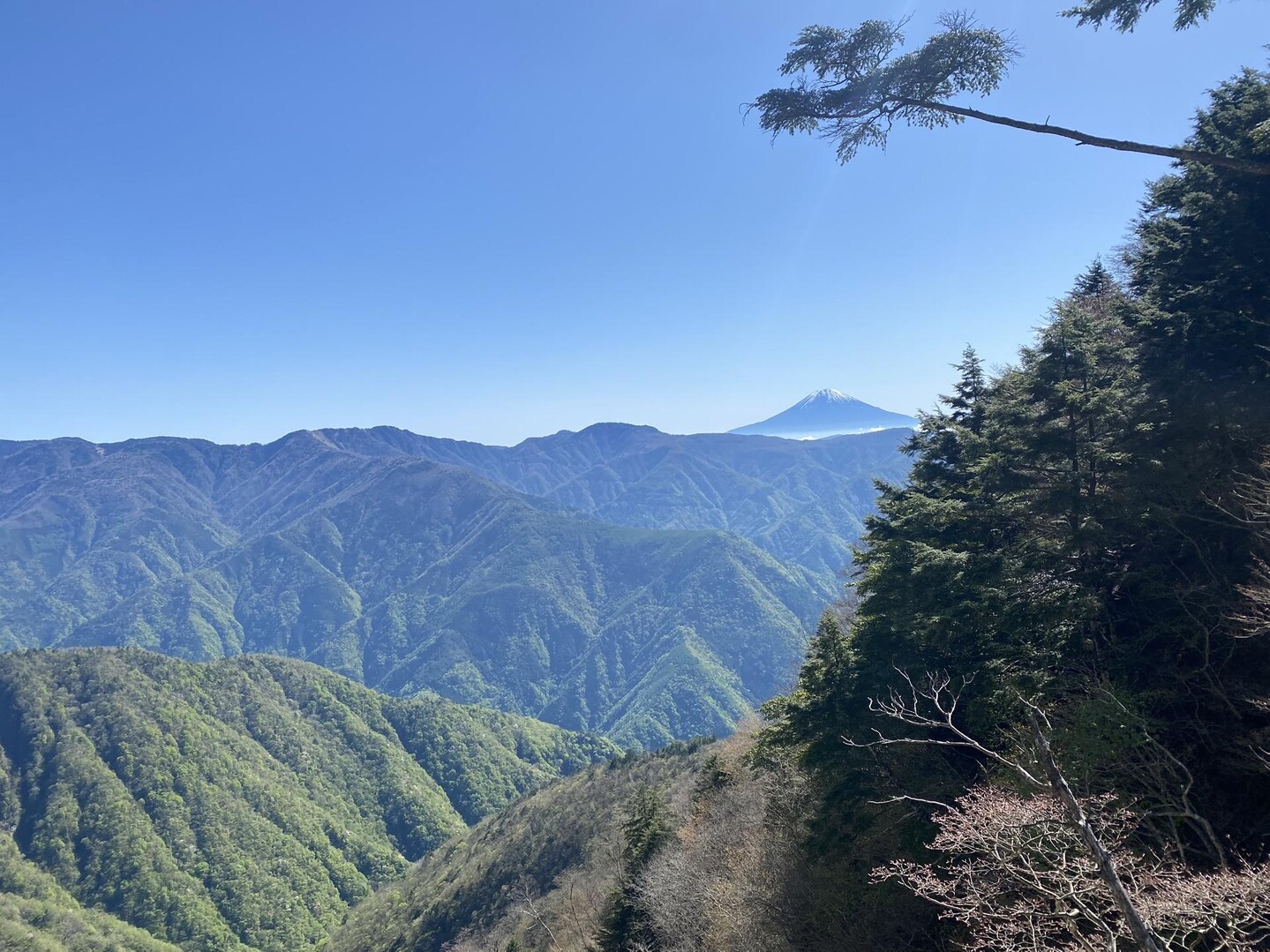 田代↔︎大無間山 / SuzY^^YanOさんの大無間山の活動データ | YAMAP / ヤマップ