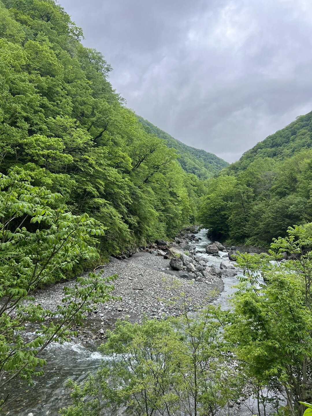 西川岳の思い出~寿都似山 / 雪多（ｶﾙﾒﾝ）さんのGT3 8の活動データ | YAMAP / ヤマップ