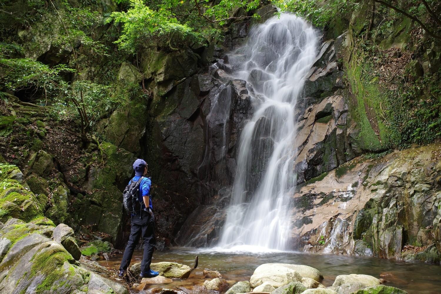 GReeeeN🌿 九千部山 / n-u-m-aさんの九千部山・石谷山の活動データ | YAMAP / ヤマップ