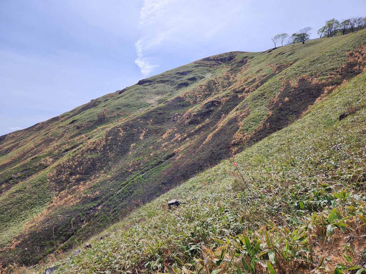 あれこれ深入山 / koroさんの深入山の活動データ | YAMAP / ヤマップ