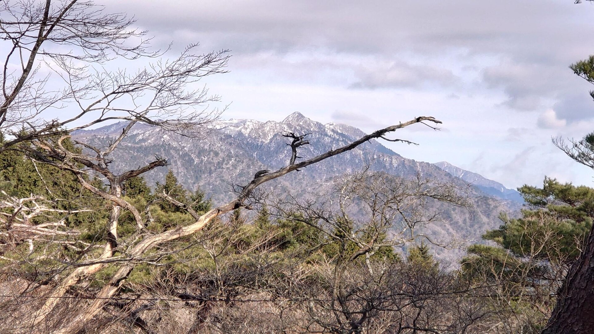 野登山 / R_papaさんの入道ヶ岳・鎌ヶ岳・仙ヶ岳の活動データ | YAMAP / ヤマップ