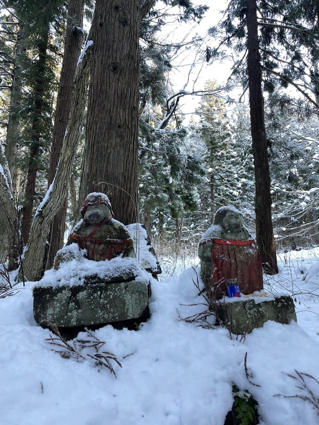 水晶山 / mochiさんの水晶山の活動データ | YAMAP / ヤマップ