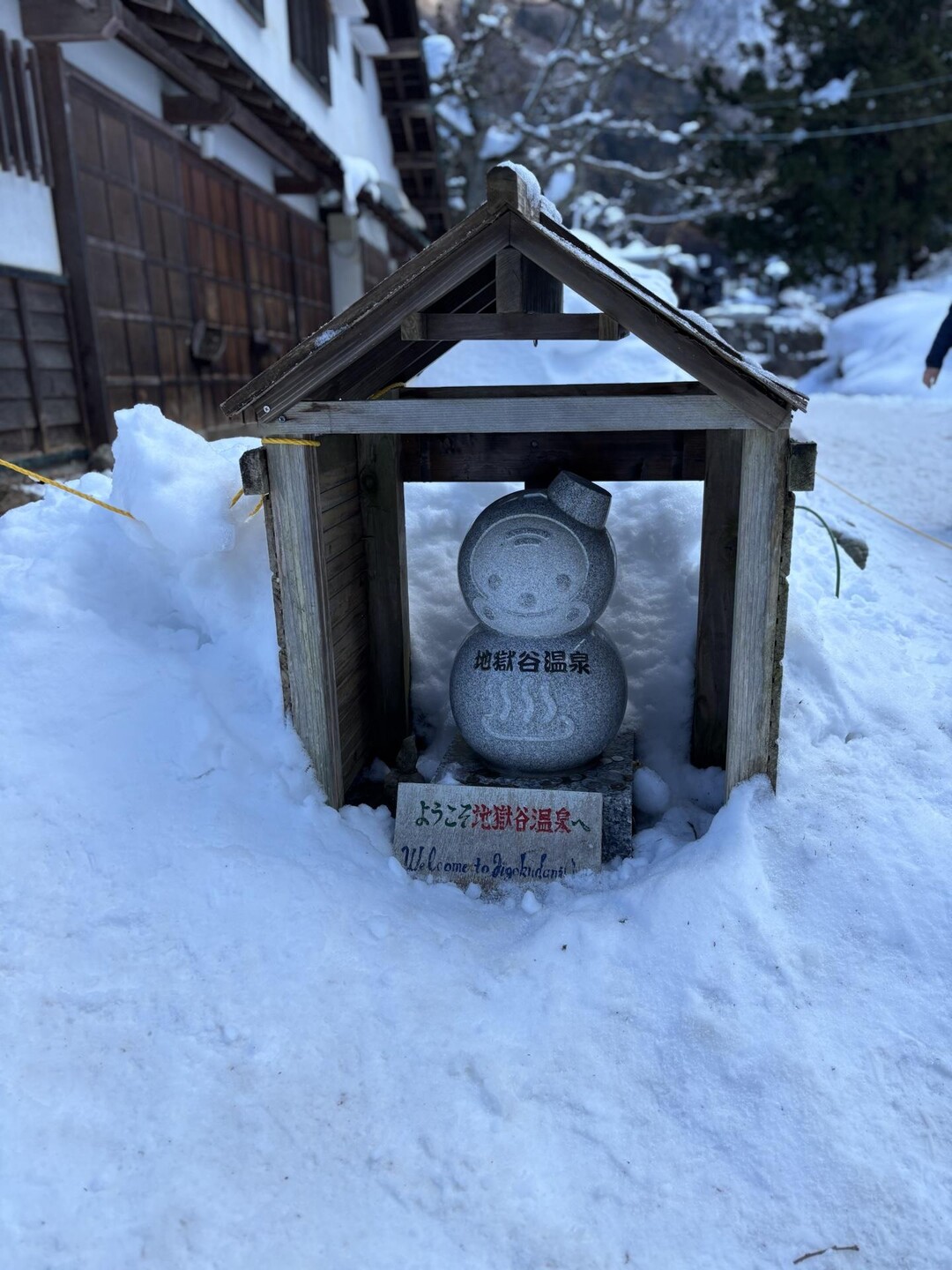 冬の長野に初めて訪れました♪ お猿さん ... / ちーちゃんさんのモーメント | YAMAP / ヤマップ