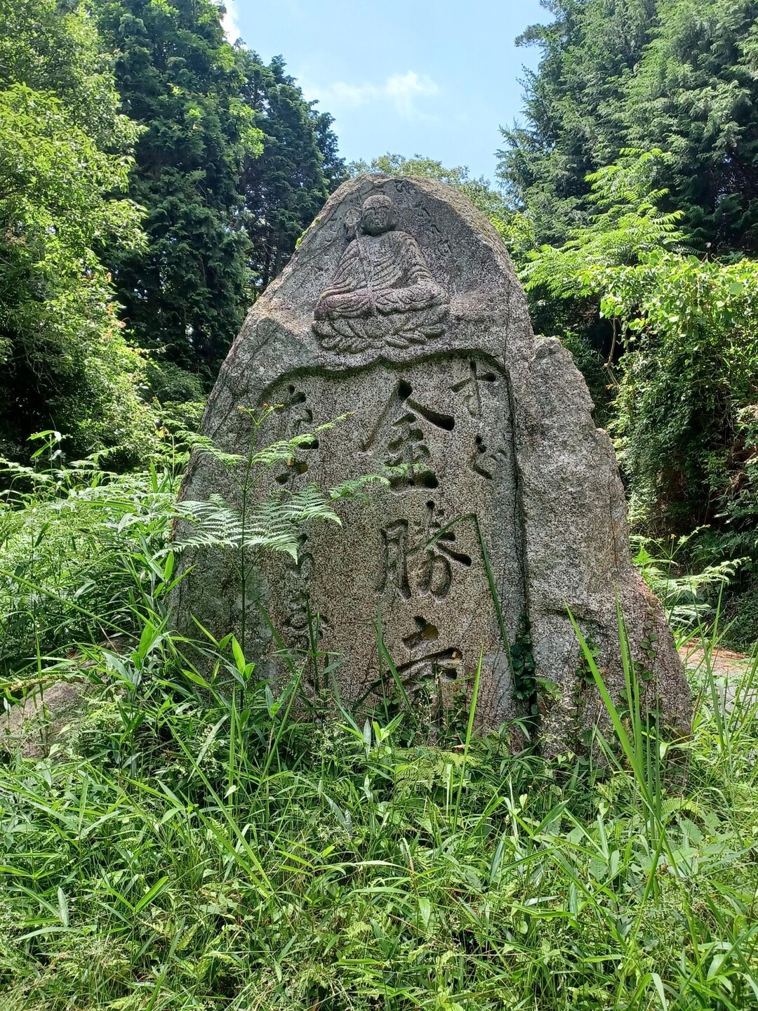 一年折り返しの日 ～金勝寺山～ / Azy-mさんの金勝アルプス（鶏冠山・竜王山）の活動データ | YAMAP / ヤマップ