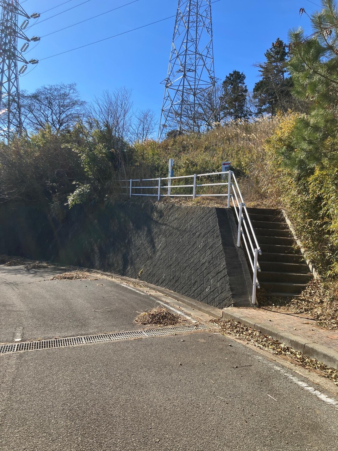 p_sonさんの投稿したフィールドメモ | YAMAP / ヤマップ