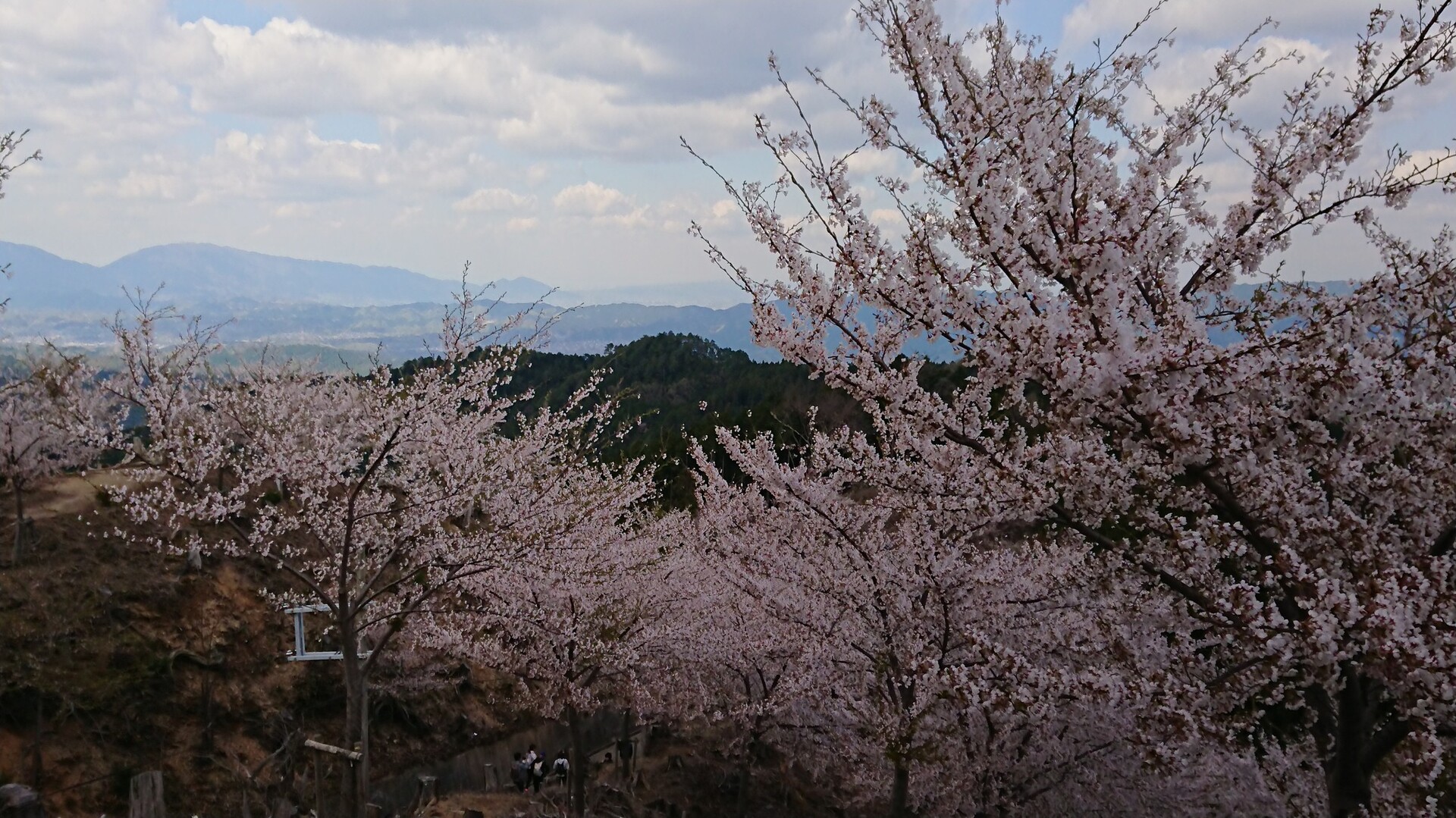 吉野、奥千本へ / hana356さんの大峯奥駈道 その1（吉野～山上ヶ岳）の活動データ | YAMAP / ヤマップ