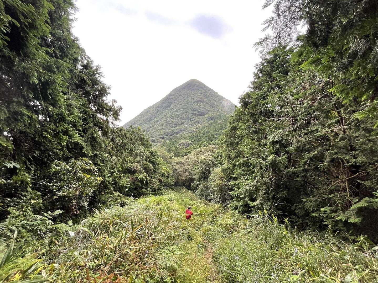 1day香春10山&プレゼント引換 〜前編〜 / 斑乃 十色さんの福智山・尺岳・雲取山の活動日記 | YAMAP / ヤマップ