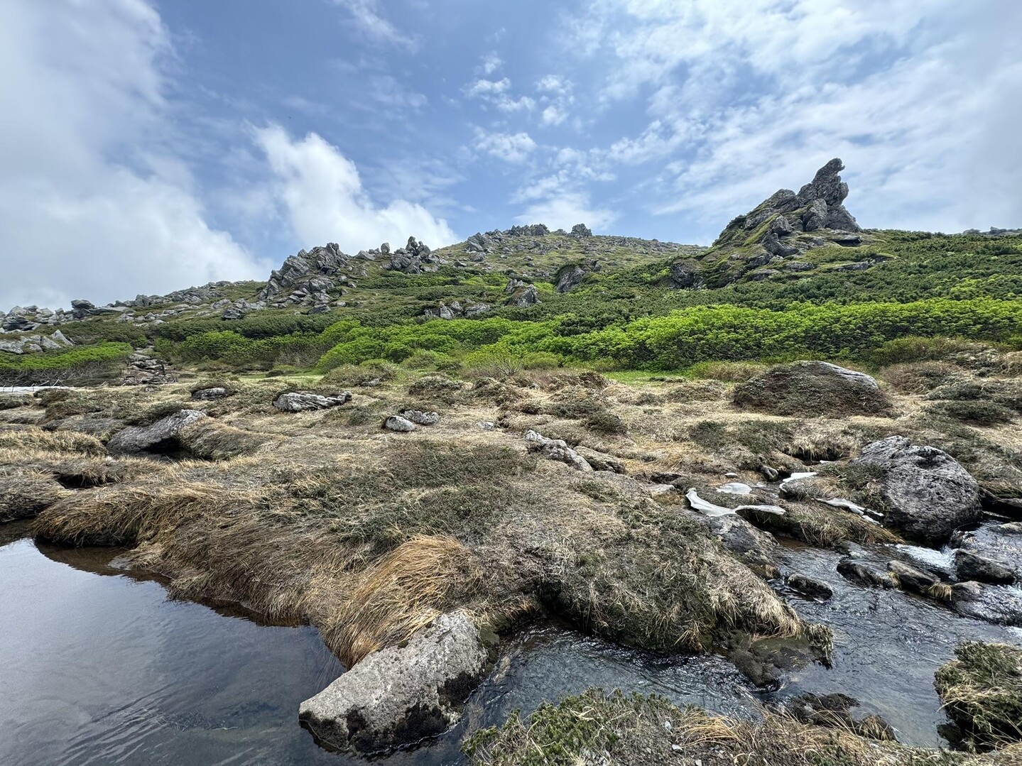 トムラウシ山（日本百名山47座目） / サカスケさんのGT3 2の活動日記 | YAMAP / ヤマップ
