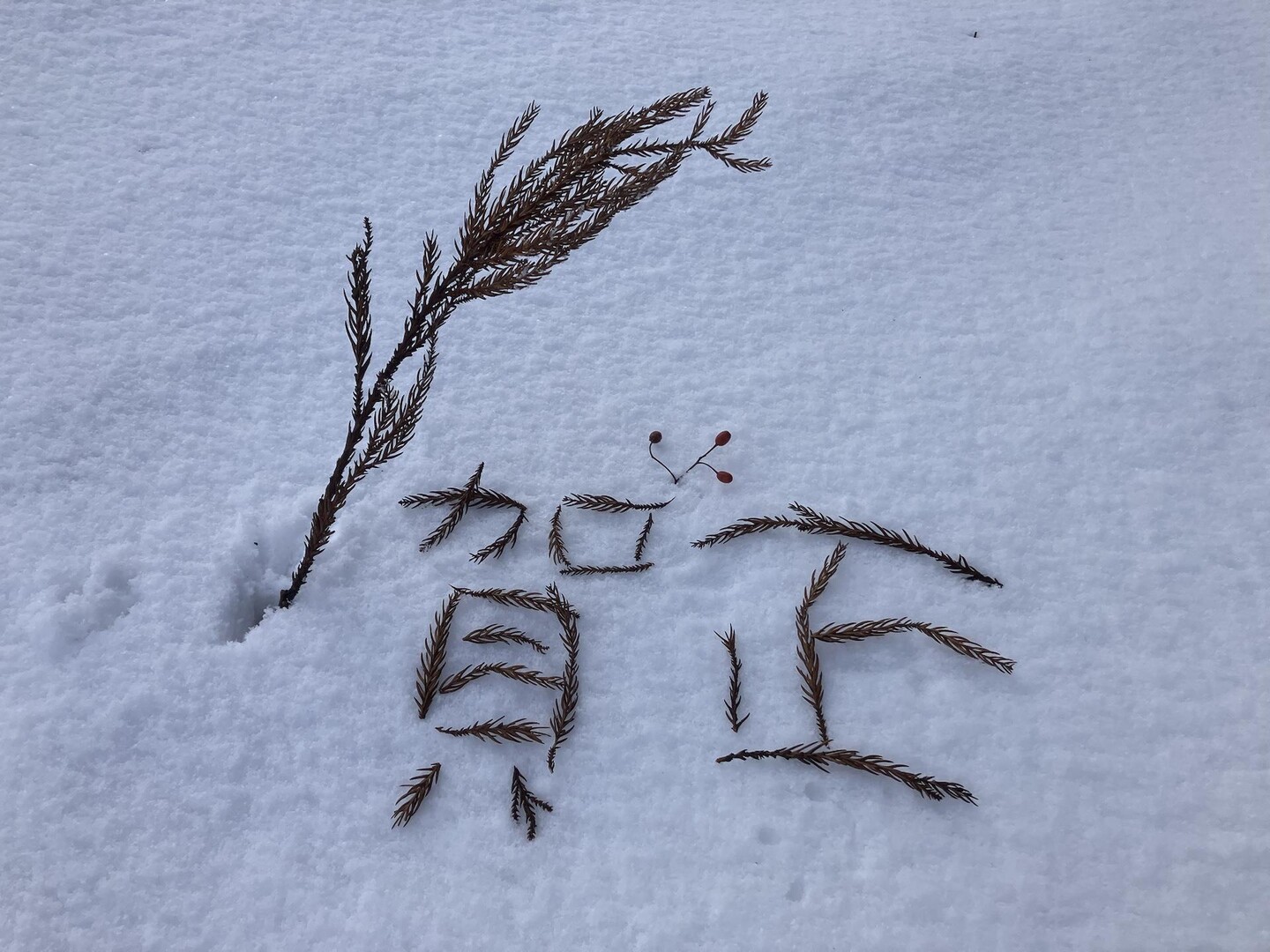 三ノ峠山 / PONさんの鋸山・三ノ峠山・八方台の活動データ | YAMAP / ヤマップ