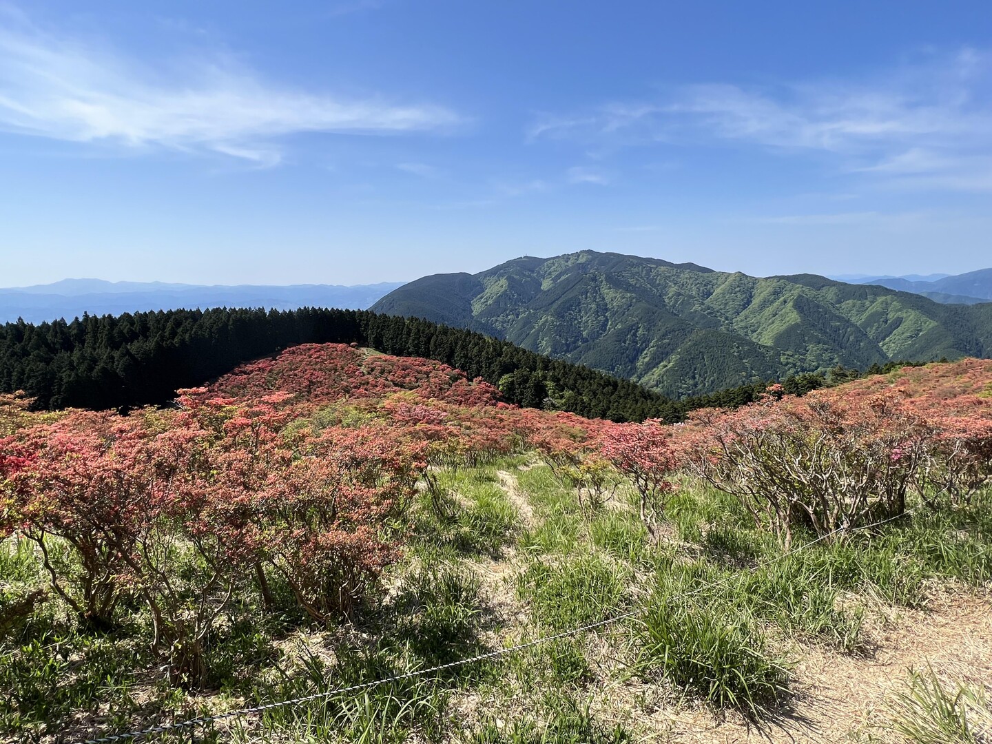 大和葛城山 / rikiさんの金剛山・二上山・大和葛城山の活動データ | YAMAP / ヤマップ