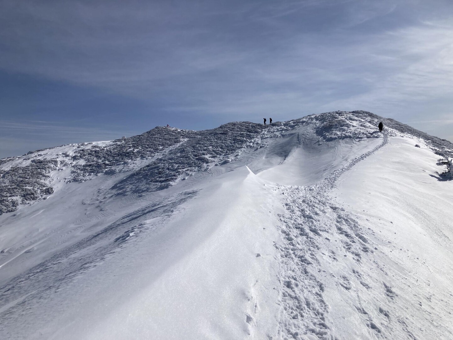霞沢岳(西尾根) / K.TAIRAさんの槍ヶ岳・穂高岳・上高地の活動データ | YAMAP / ヤマップ