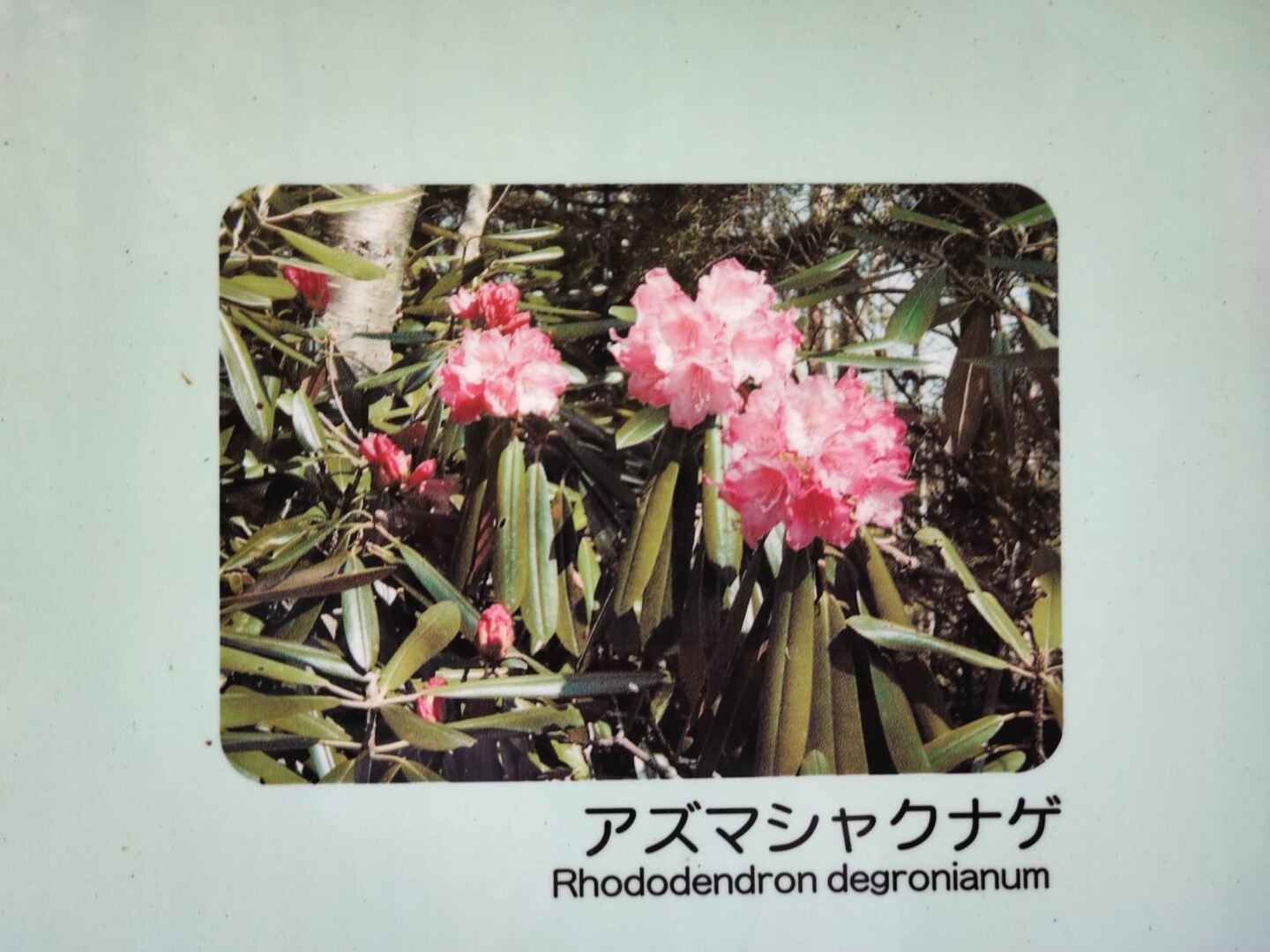 RYUのページ | YAMAP / ヤマップ