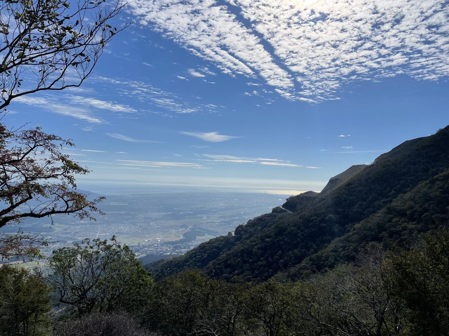 藤原岳・天狗岩 / neko_powerさんの藤原岳・御池岳の活動データ | YAMAP / ヤマップ