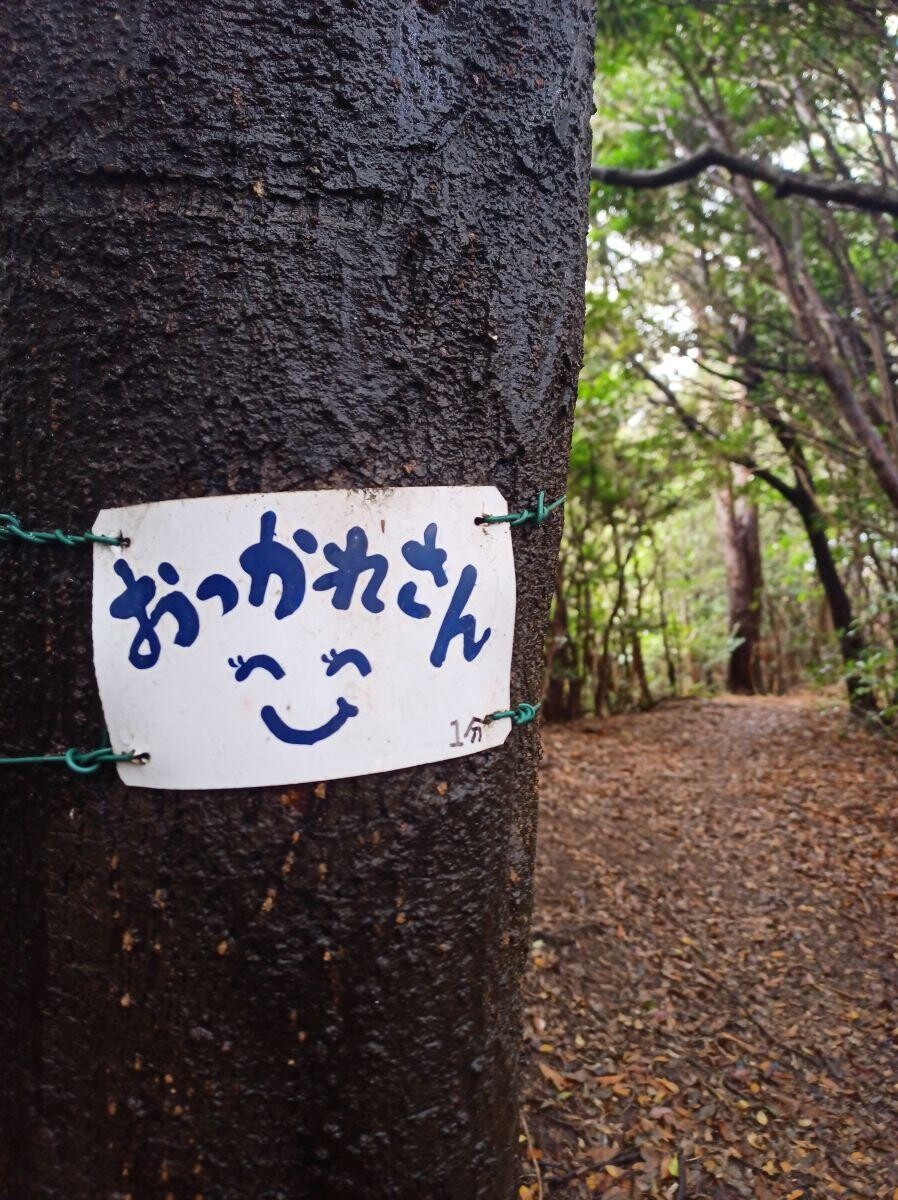 城山(岩門城址)･矢岳 / toshil-_-lさんの矢岳・城山の活動データ | YAMAP / ヤマップ
