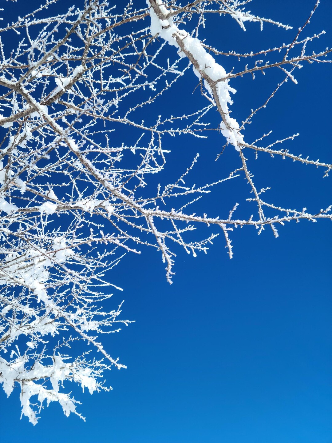 和田山北峰・三峰山 / TEPPY さんの美ヶ原の活動データ | YAMAP / ヤマップ
