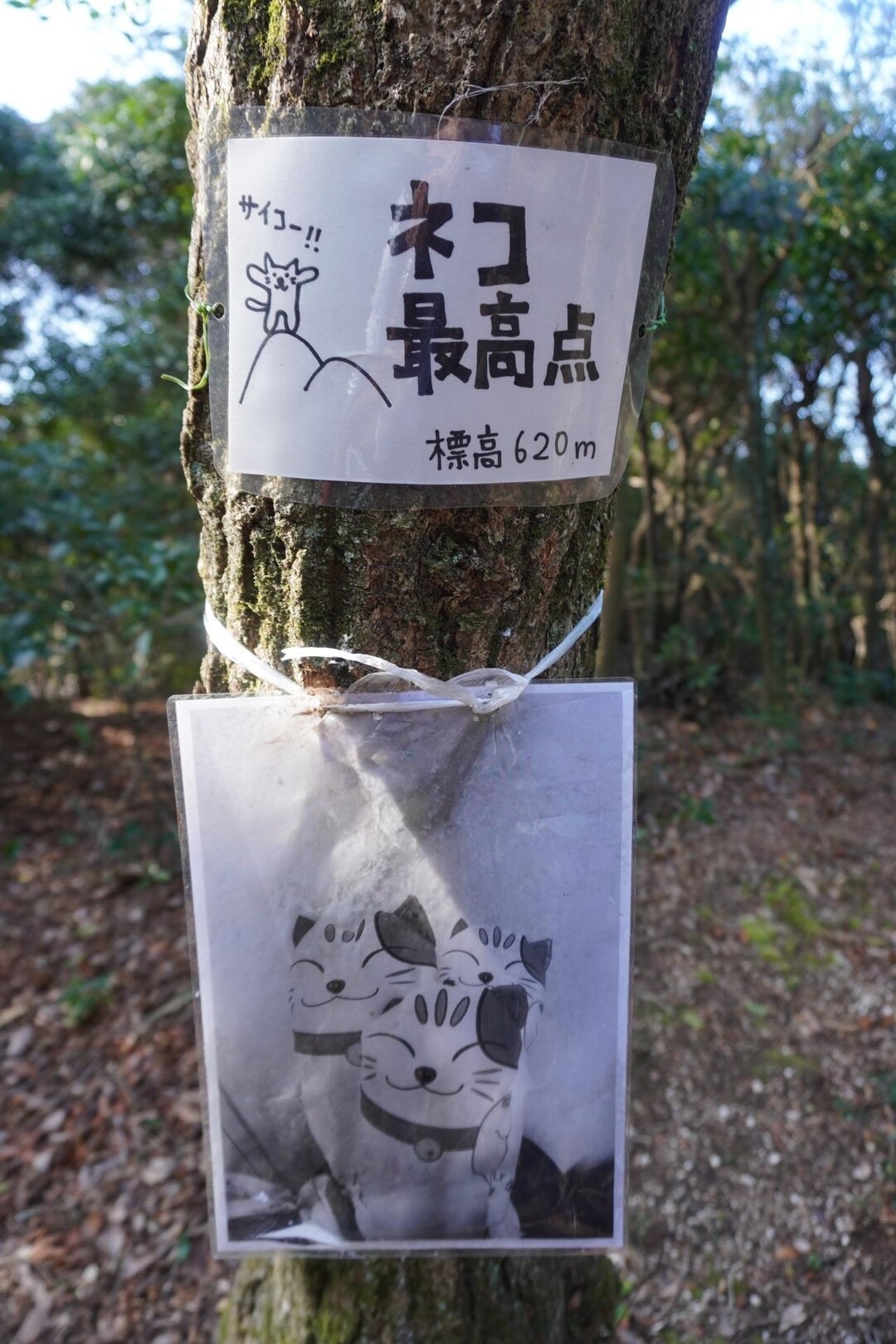 Kさんの投稿したフィールドメモ | YAMAP / ヤマップ