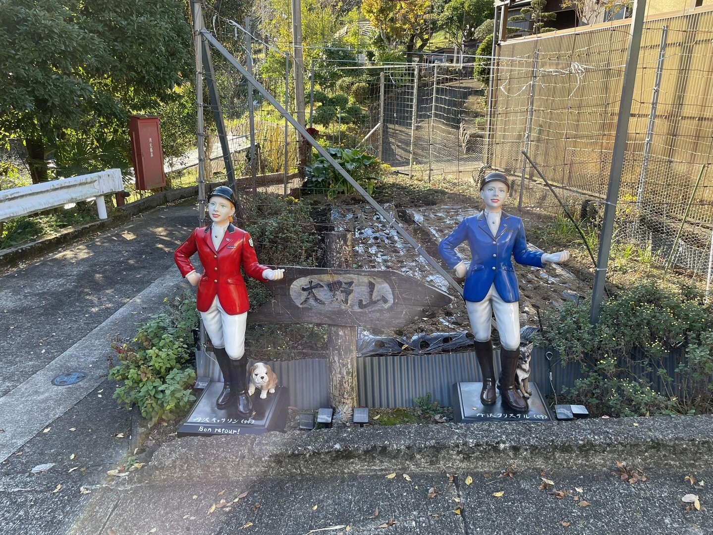 大野山 / Kosukeさんの塔ノ岳・丹沢山・蛭ヶ岳の活動日記 | YAMAP / ヤマップ