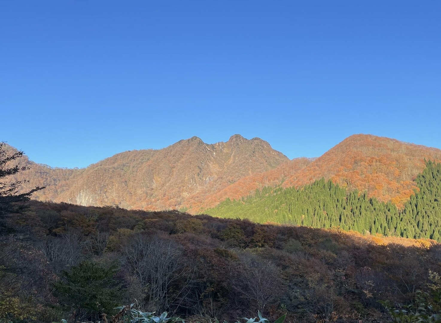 木谷 散策 / なべ(ワンゲルOB)さんの大山・甲ヶ山・野田ヶ山の活動データ | YAMAP / ヤマップ