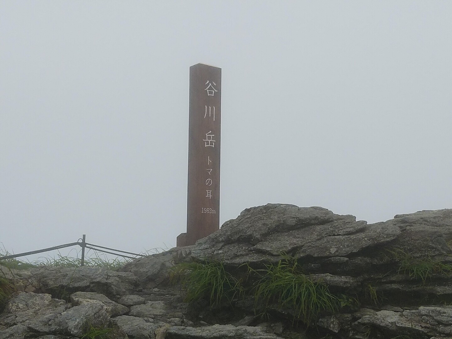 谷川岳-2019-07-28 / tom-maniさんの谷川岳・七ツ小屋山・大源太山の活動データ | YAMAP / ヤマップ