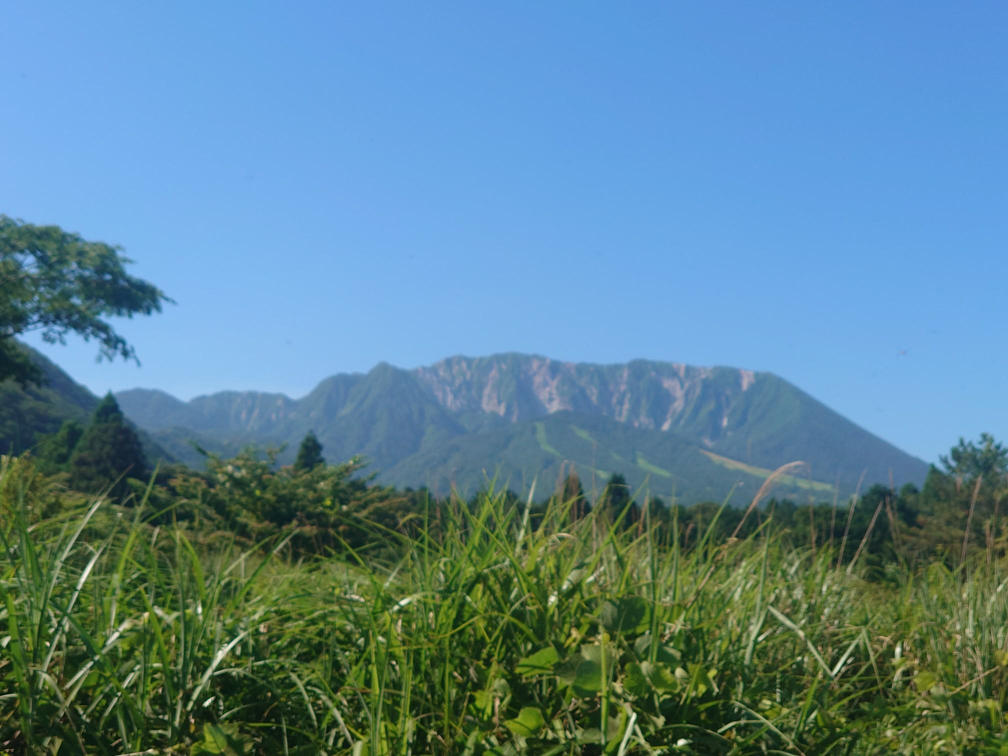 甲川(妖精の滝)-2025-08-03 / かっちんさんの大山・甲ヶ山・野田ヶ山の活動データ | YAMAP / ヤマップ