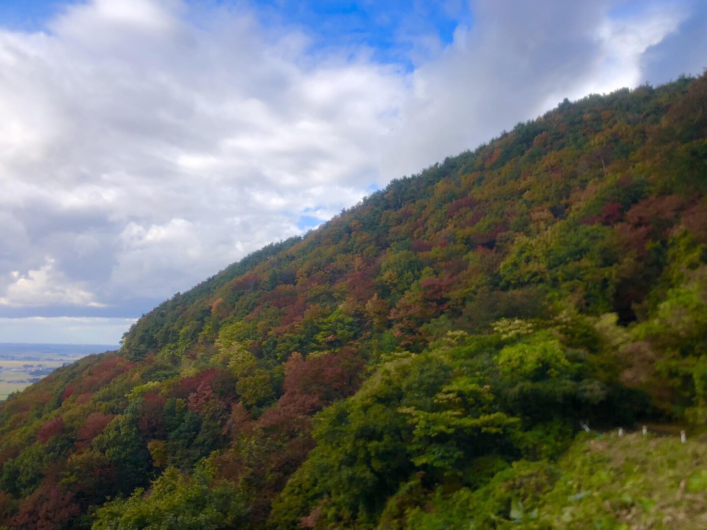 くぐり岩登山口→峠道ラン / Naluさんの五頭山・菱ヶ岳・宝珠山の活動データ | YAMAP / ヤマップ
