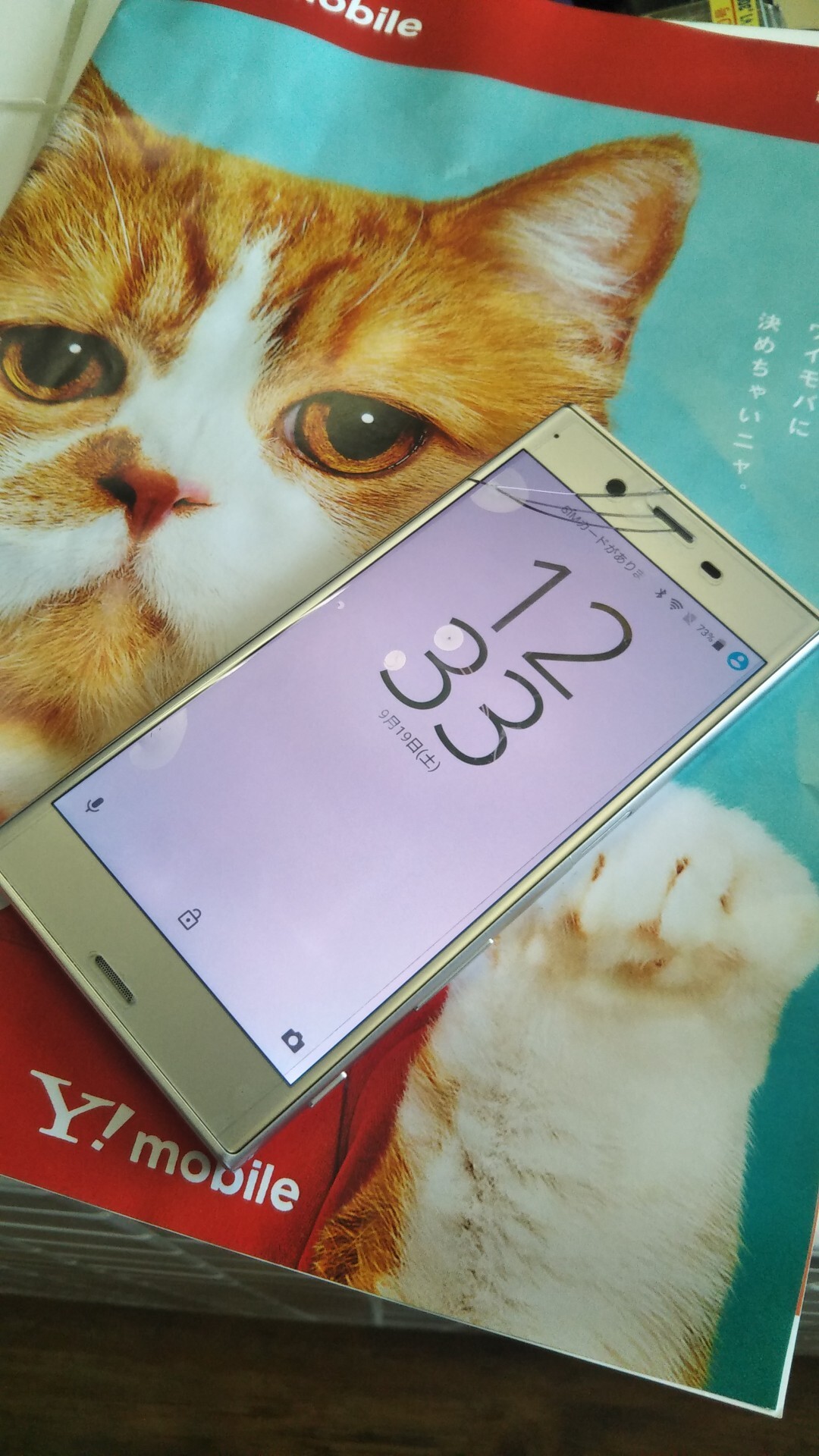 100回願祈〜6回目〜😵😵😵 事故... / せいたろうさんのモーメント | YAMAP / ヤマップ