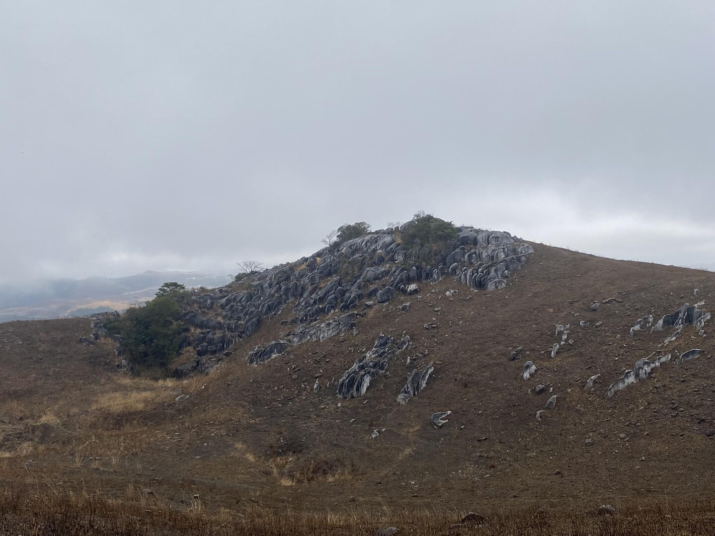 九州紀行12…最後は雨。締めくくりは…平尾台（9座） / M_Akkyさんの平尾台・貫山・水晶山の活動データ | YAMAP / ヤマップ