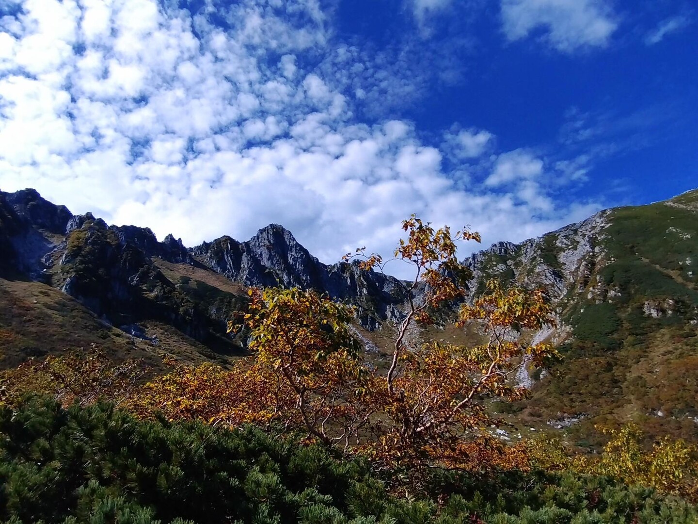 初めまして！中央アルプス！ 木曽駒ヶ岳！... / Kmk-Nさんのモーメント | YAMAP / ヤマップ