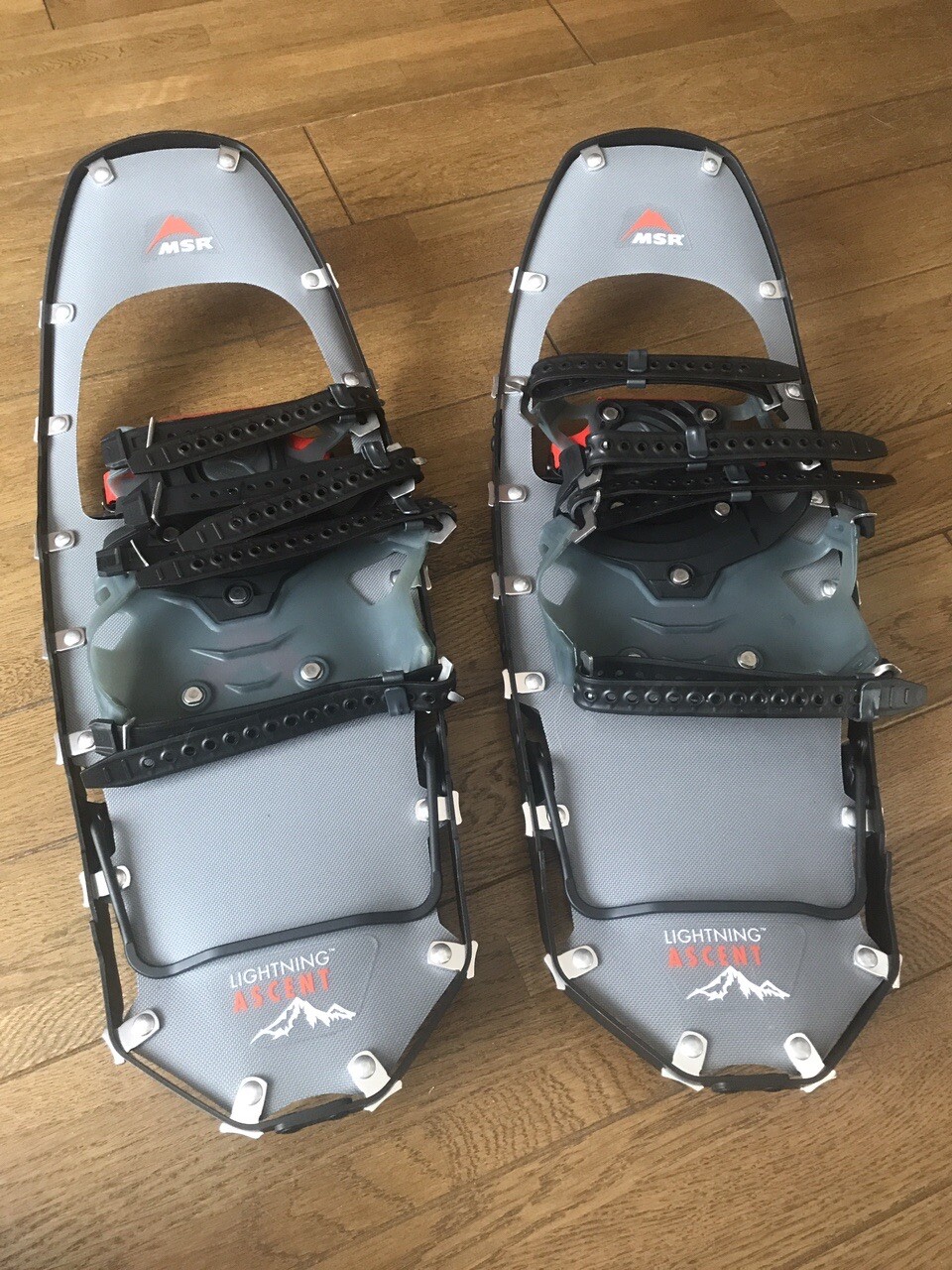 とうとう、思い切って憧れの MSRライト... / たまちゃんさんのモーメント | YAMAP / ヤマップ