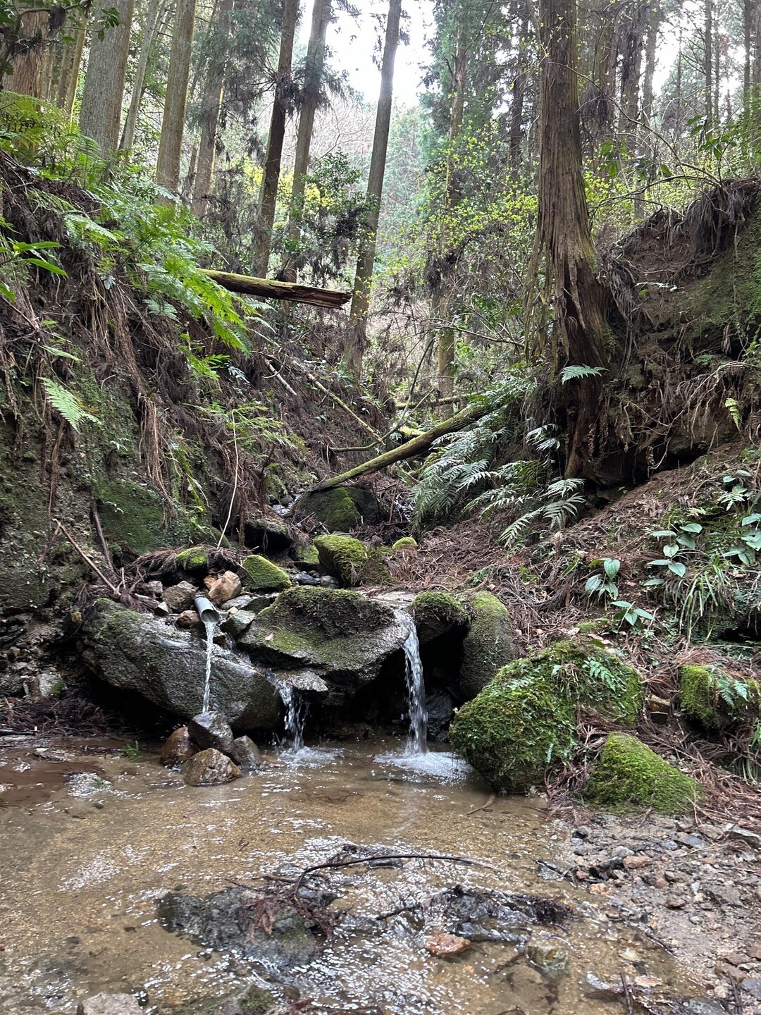 RYOさんの投稿したフィールドメモ | YAMAP / ヤマップ